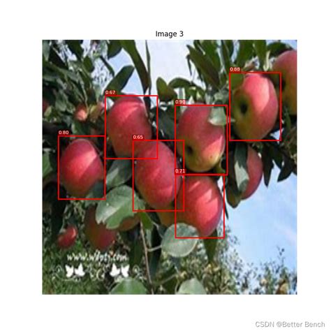 【2023年第十三届apmcm亚太地区大学生数学建模竞赛】a题 水果采摘机器人的图像识别 Python代码解析 Csdn博客