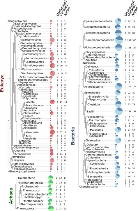 Summary Of All Genome Updates And Additions At The Level Of Taxonomic Download Scientific