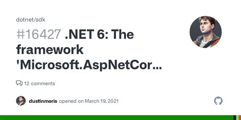 NET The Framework Microsoft AspNetCore App Version Was Not Found Issue