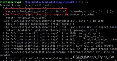 树莓派上报错oserror Errno 74 Bad Message ‘homepilocallibpython39