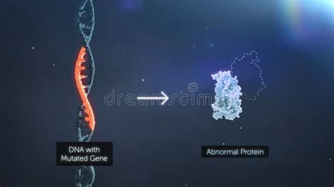 DNA Mutation A Mutation Is A Change In A DNA Sequence Mutations Stock Illustration