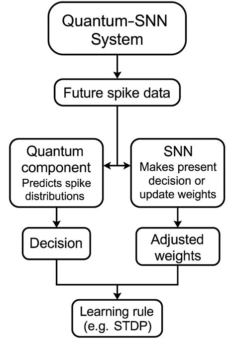 A Conceptual Framework For Quantum Spiking Neural Networks Leveraging