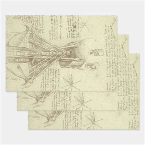 Leonardo Da Vincis Human Anatomy Spinal Column Wrapping Paper Sheets Zazzle