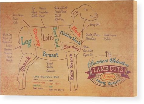 Lamb Meat Cuts Chart