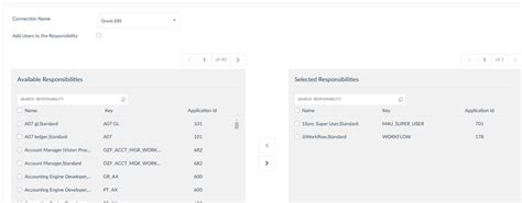 Import Oracle Ebs Responsibility
