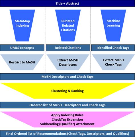 Mti Processing Flow Diagram Download Scientific Diagram