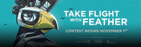 winners of the take flight with feather contest hackaday hackadayio