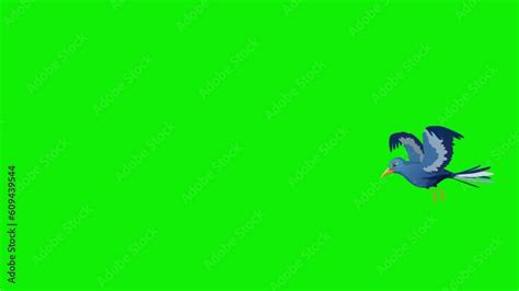 2d Bird Flying Frame By Frame Animation 4k Screen Green Stock Video Adobe Stock