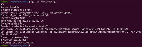Vhost Doesnt Work Correctly In The Protocol In Net Package · Issue 58601 · Golanggo
