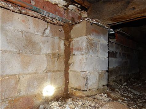 Termite Treatments Campbelltown Get Flicked Pest Control Directory