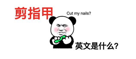 剪指甲”的英文是什么? Shawn的英语茶话会 知乎 剪指甲”的英文是什么? Shawn的英语茶话会 知乎