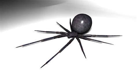 Spider Model Turbosquid 2212163