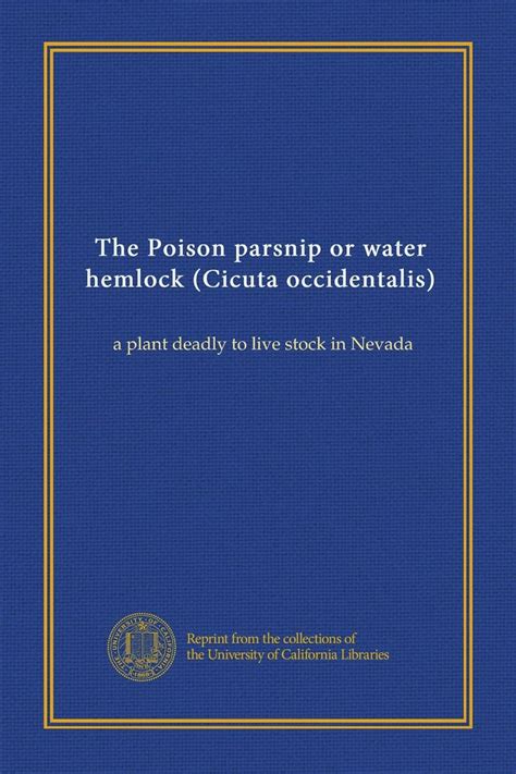 The Poison Parsnip Or Water Hemlock Cicuta Occidentalis
