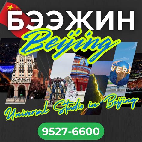 Flower 🇨🇳БЭЭЖИН ХОТЫН АЯЛАЛД УРЬЖ БАЙНА 👨‍👩‍👧‍👦👩‍👦‍👦👨‍👦‍👦👩‍👩‍👦 гэр