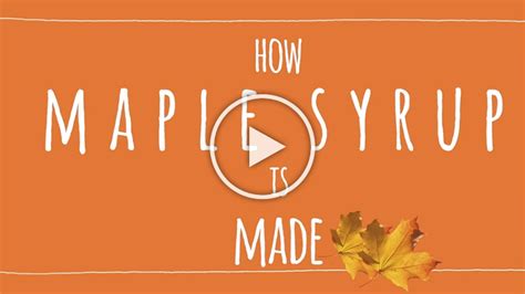 Could A Pure Maple Syrup Extract Be Tapped For Better Brain Health