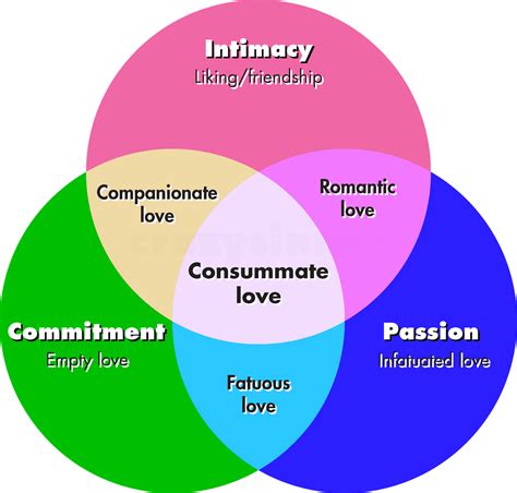 Measuring Love Psyc 4062015 Medium
