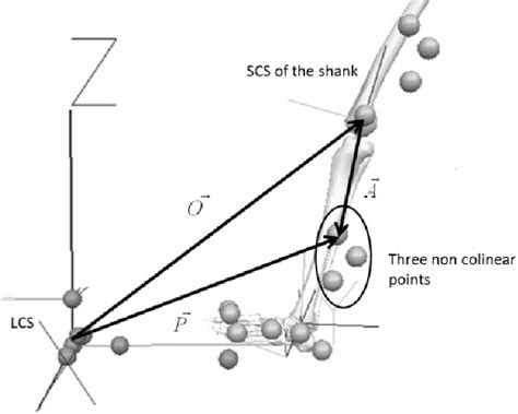 Determination Of A Point From Measurement Of P In SCS Regarding The Download Scientific Diagram