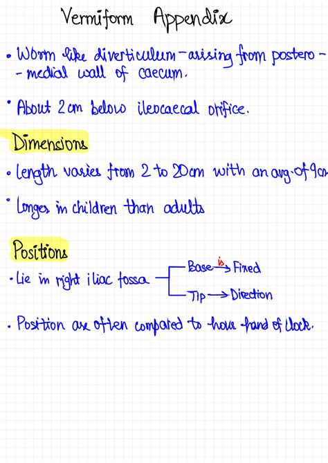 Solution Vermiform Appendix Anatomy Studypool
