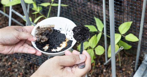 How To Add Nitrogen To Soil Without Fertilizer