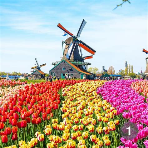 Pin By Anong Thanthuranon On การวาดภาพทิวทัศน์ In 2025 Windmill