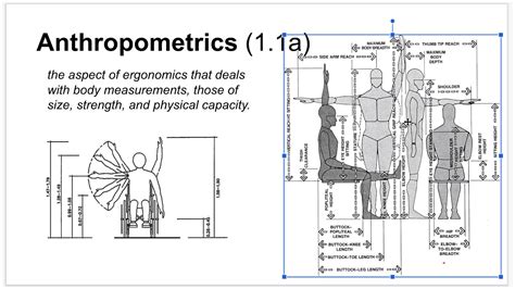 T1 Anthropometrics 1 Youtube