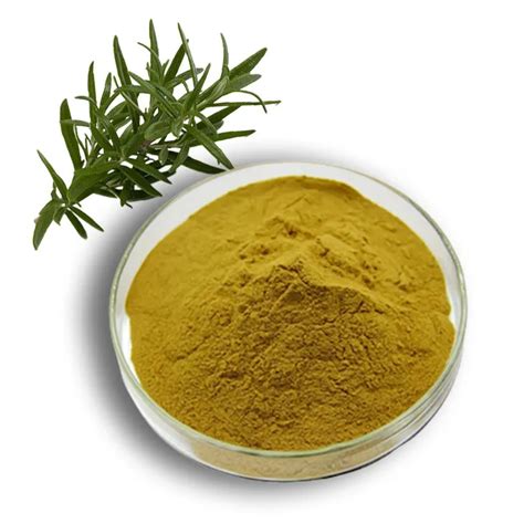 Mature Rosemary Flavor And Natural Rosemary Extract