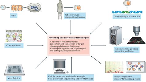 Cell Based Screening And Profiling Services Creative Bioarray