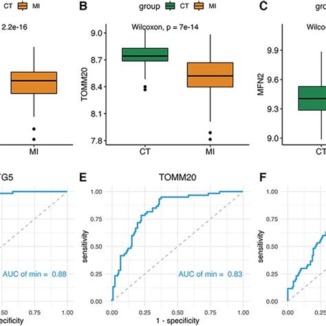 A Volcano Plot About Mitophagy Genes B Heat Map Of The 24 Download Scientific Diagram