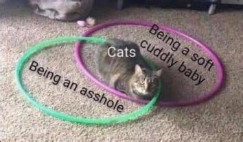 22 Venn Diagrams That Are Equal Part Clever And Hilarious