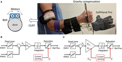 Prosthetic System Implementation A Complete Setup With Integration Download Scientific