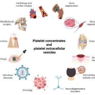 Platelet Role In Healthy Brain Function And Association With Download Scientific Diagram