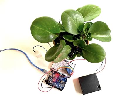 Automatic Plant Watering With An Arduino Pollux Labs