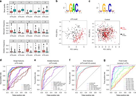 accurate detection of m6a rna modifications in native rna sequences nature communications