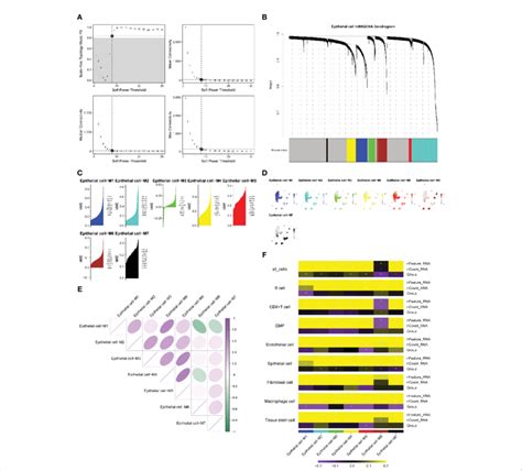 Hdwgcna Has Identified The Key Epithelial Cell Genes In The