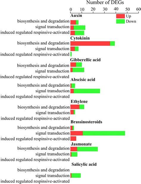 Comparative Transcriptomics And Proteomics Of Atractylodes Lancea In
