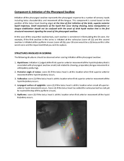 6 Initiation Pharyngeal Swallow Component 6 Initiation Of The