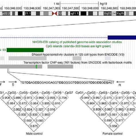 Bisulfite Pyrosequencing Of The Amplified Fragment From A Case Sample