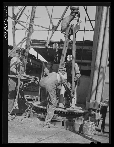 Cat Construction Images Free Photos Png Stickers Wallpapers