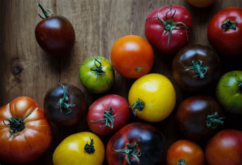 Differences Between Determinate And Indeterminate Tomatoes
