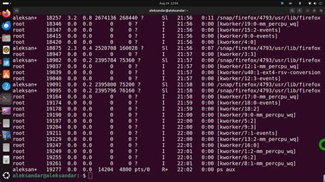 how to “kill” or terminate a process program in linux ubuntu fusion