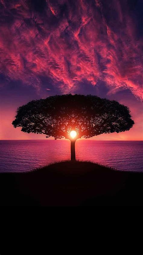 4k Mobile Wallpaper Wallpaper Download High Resolution 4k Wallpaper