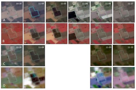Example Of Burn Observations In Planetscope And Sentinel 2 Data