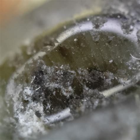 Oppo S Find X Pro Has A X Microscope Camera Engadget