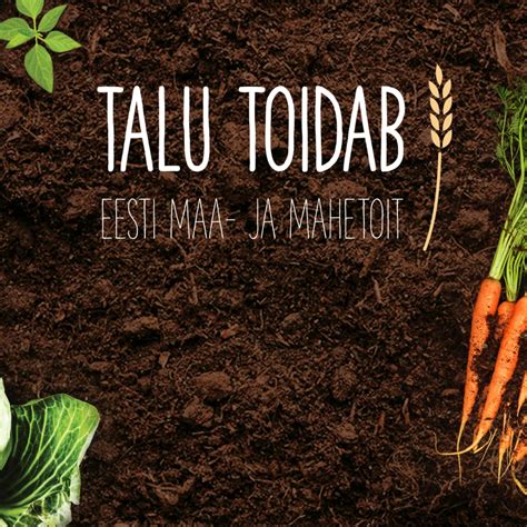 Rimi E Store Daily Groceries Sold Online