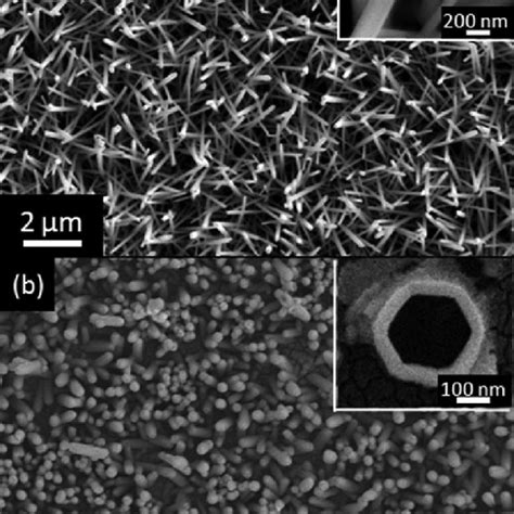 A Sem Of The Zno Nanowire Array Via Electrochemistry B Low And