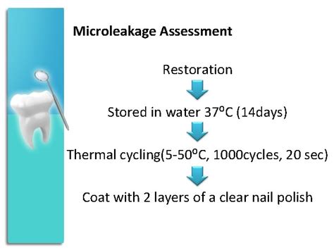 Operative Dentistry Microleakage Resistance Of Minimally Invasive Class