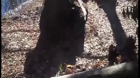 My Step April Lurea Mom Showing Her Skill On A Log Xxx Mobile Porno Videos And Movies Iporntv Net