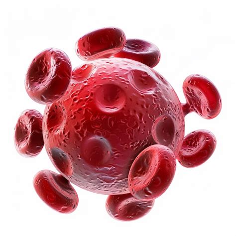 Globin Protein Isolated On White Background Molecular Structure Biochemistry Hemoglobin Science