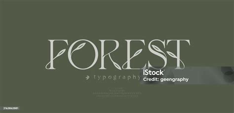 우아한 알파벳 문자 자연 로고 글꼴 및 번호 클래식 레터링 미니멀 뷰티 패션 타이포그래피 장식 로고 현대 Serif 글꼴 벡터 일러스트 레이 션 그리기에 대한 스톡 벡터