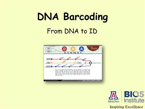 Ppt Dna Barcoding Powerpoint Presentation Free Download Id4797975